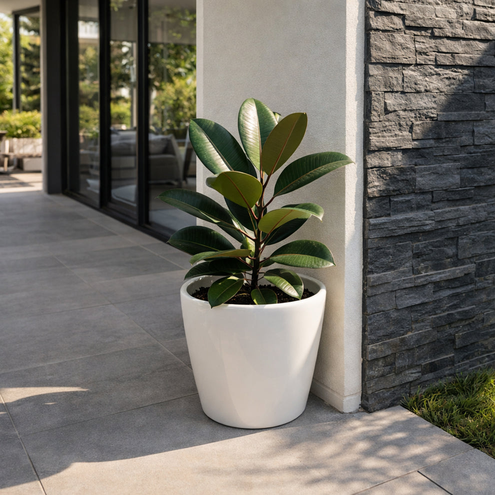 Eden 28cm Warm White Round Premium Self-Watering Plastic Pot